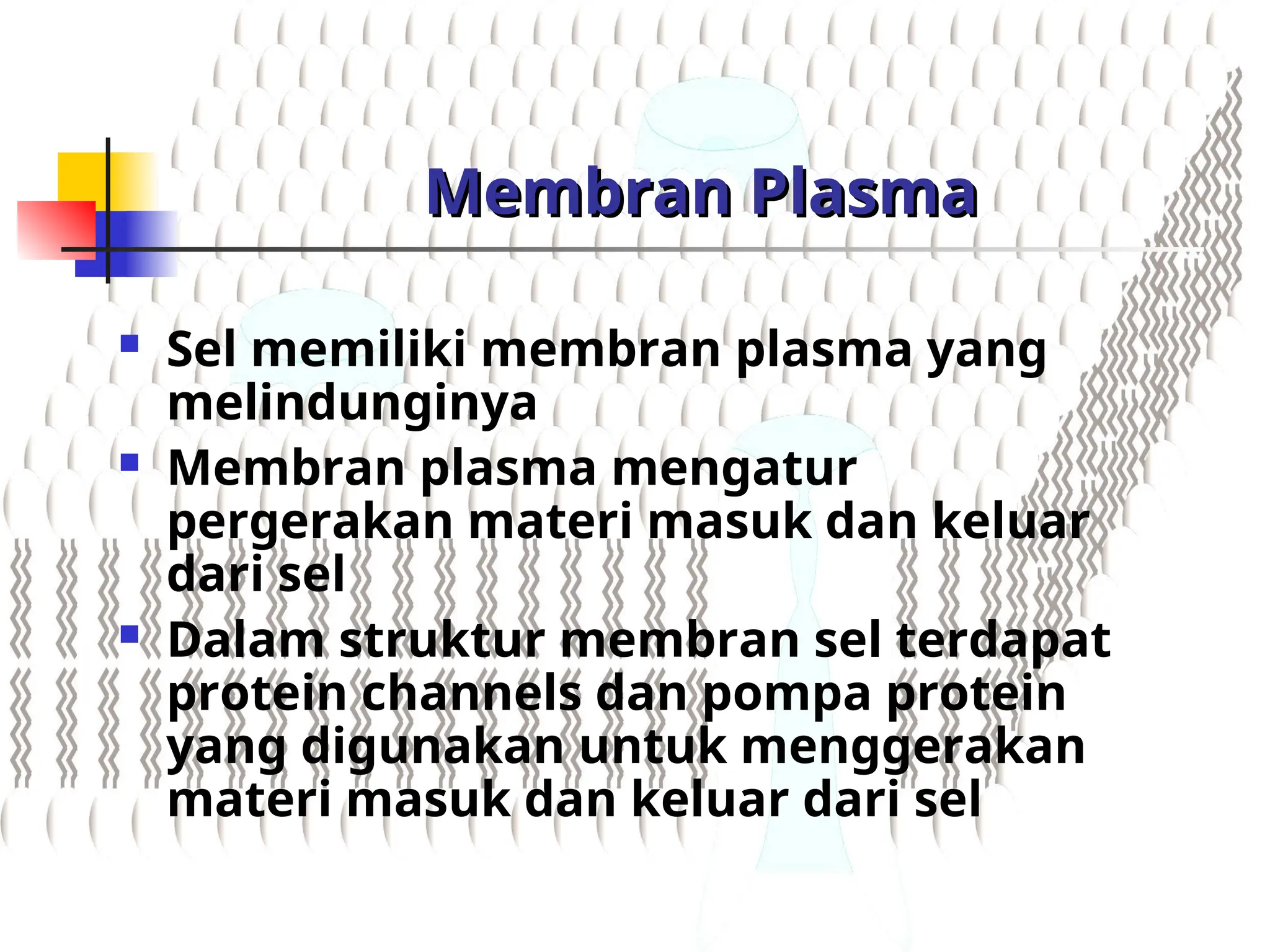 4_Biologi_Sel_Biomedik_Transportasi_sel.ppt