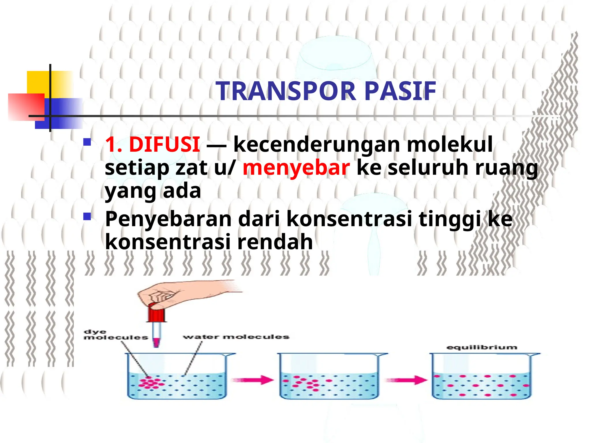 4_Biologi_Sel_Biomedik_Transportasi_sel.ppt