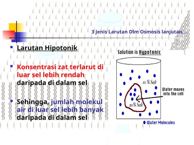 4_Biologi_Sel_Biomedik_Transportasi_sel.ppt