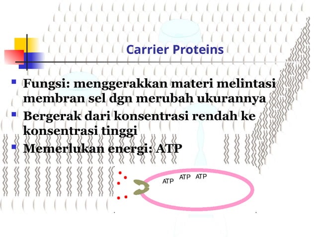 4_Biologi_Sel_Biomedik_Transportasi_sel.ppt