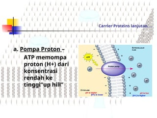4_Biologi_Sel_Biomedik_Transportasi_sel.ppt