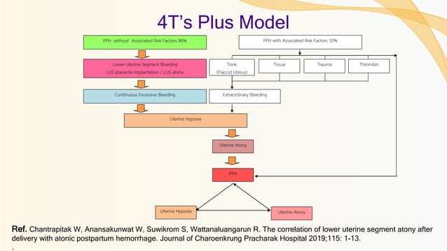Postpartum Hemorrhage / 4T's Plus Model / Lower Uterine Segment ...