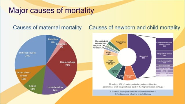 Postpartum Hemorrhage / 4T's Plus Model / Lower Uterine Segment ...