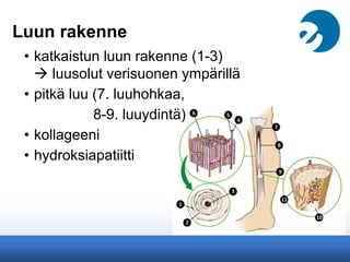 4 tuki ja_liikuntaelin_sairaudet | PDF