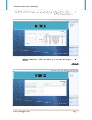 Nubix Offer HR | PDF