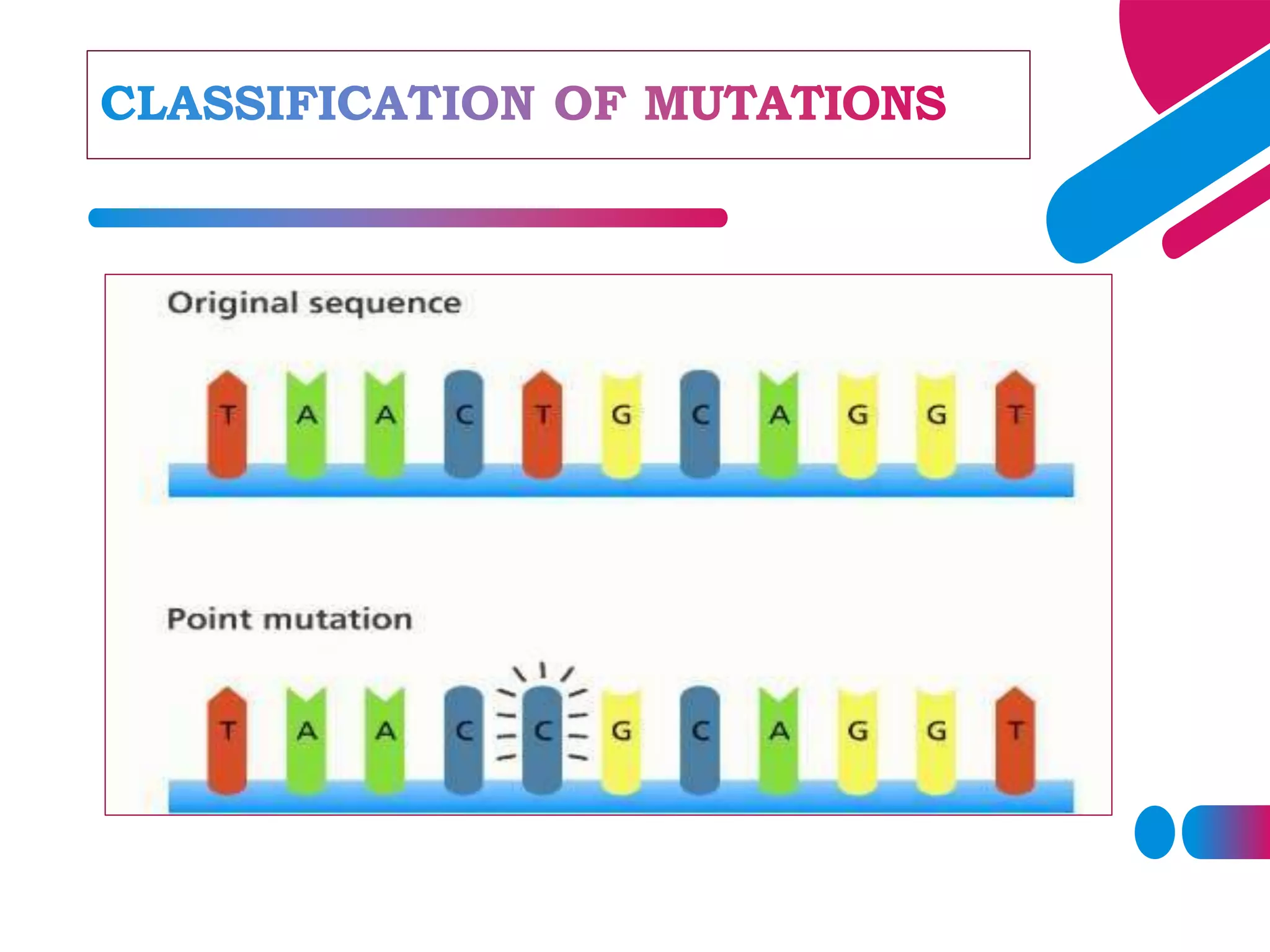 4 Unit - I Chromosomal aberrations, Patterns of Inheritance.pptx | Genetics | Science