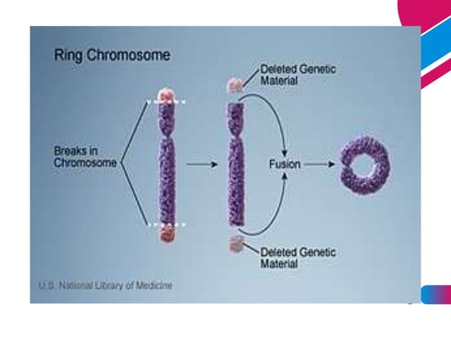4 Unit - I Chromosomal aberrations, Patterns of Inheritance.pptx | Genetics | Science