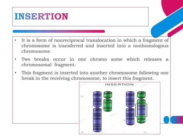 4 Unit - I Chromosomal aberrations, Patterns of Inheritance.pptx | Genetics | Science
