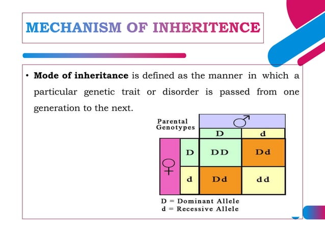 4 Unit - I Chromosomal aberrations, Patterns of Inheritance.pptx | Genetics | Science