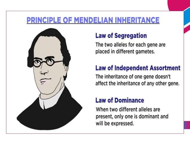4 Unit - I Chromosomal aberrations, Patterns of Inheritance.pptx | Genetics | Science
