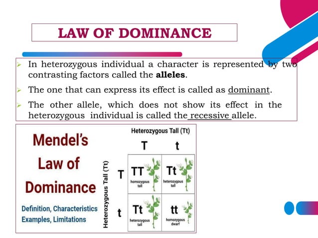 4 Unit - I Chromosomal aberrations, Patterns of Inheritance.pptx | Genetics | Science