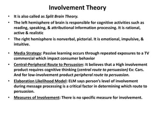 Learning - Consumer Behavior | PPTX