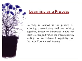 Learning - Consumer Behavior | PPTX