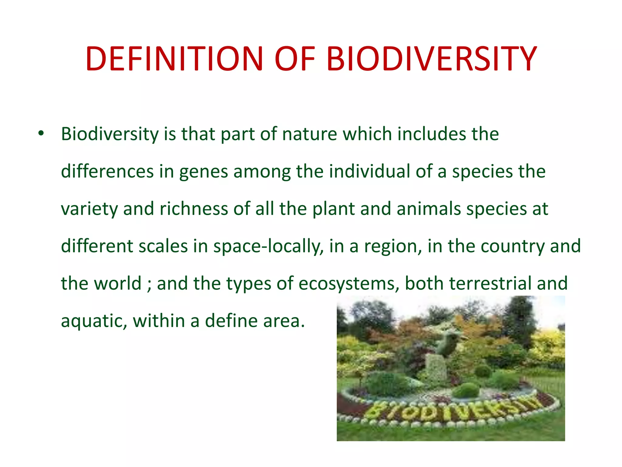 4 value of biodiversity | PPT