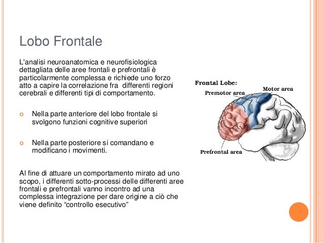 4 valutazione del lobo frontale