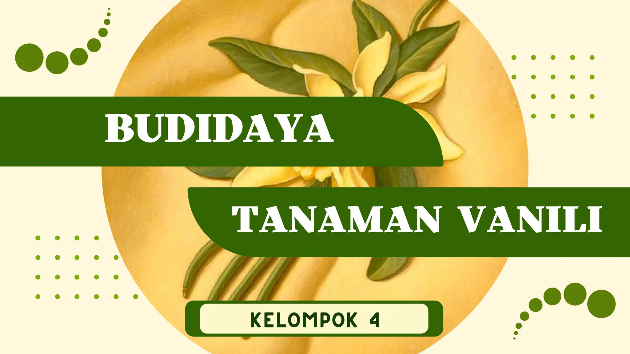 How To Budidaya Tanaman Vanili dengan metode unggul | PDF