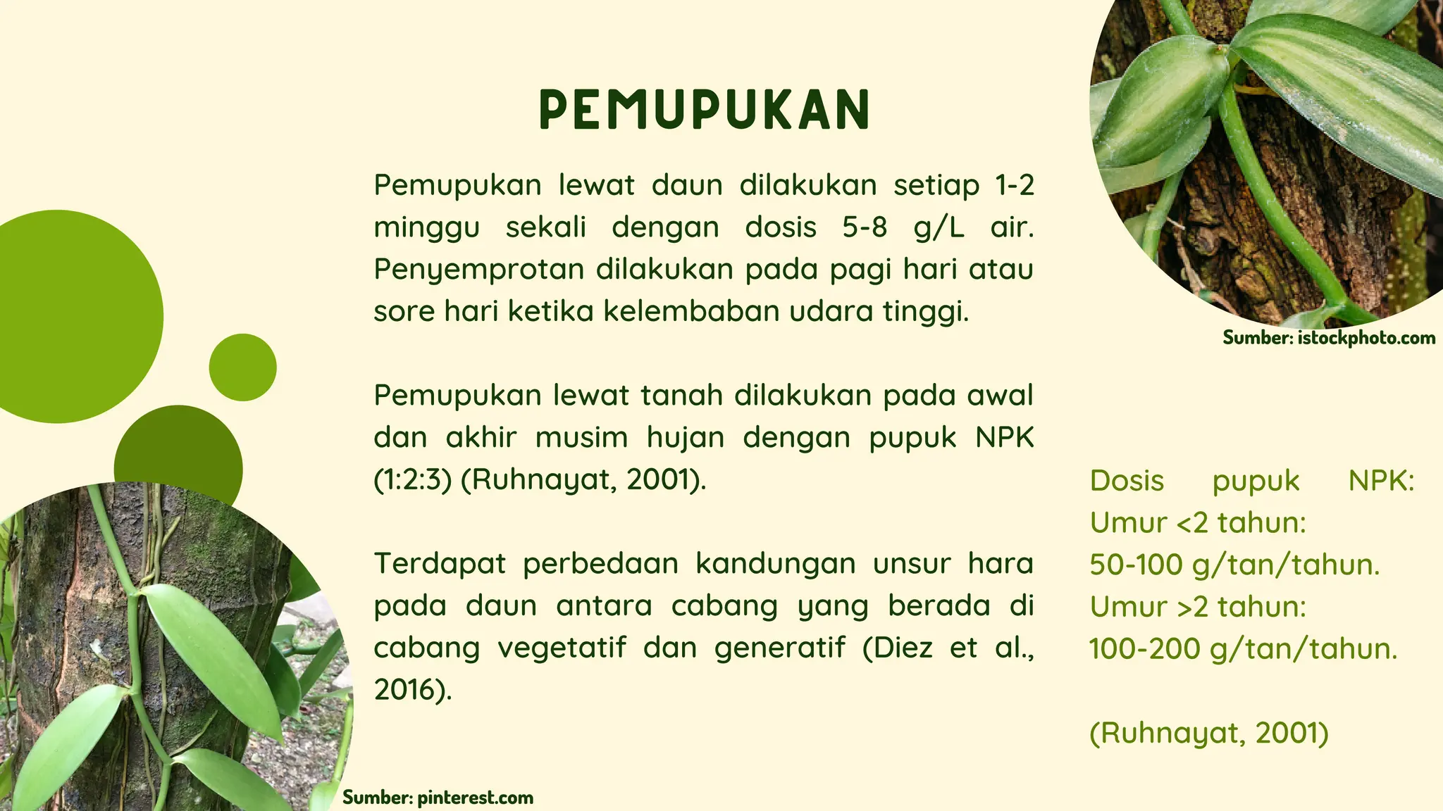 How To Budidaya Tanaman Vanili dengan metode unggul | PDF