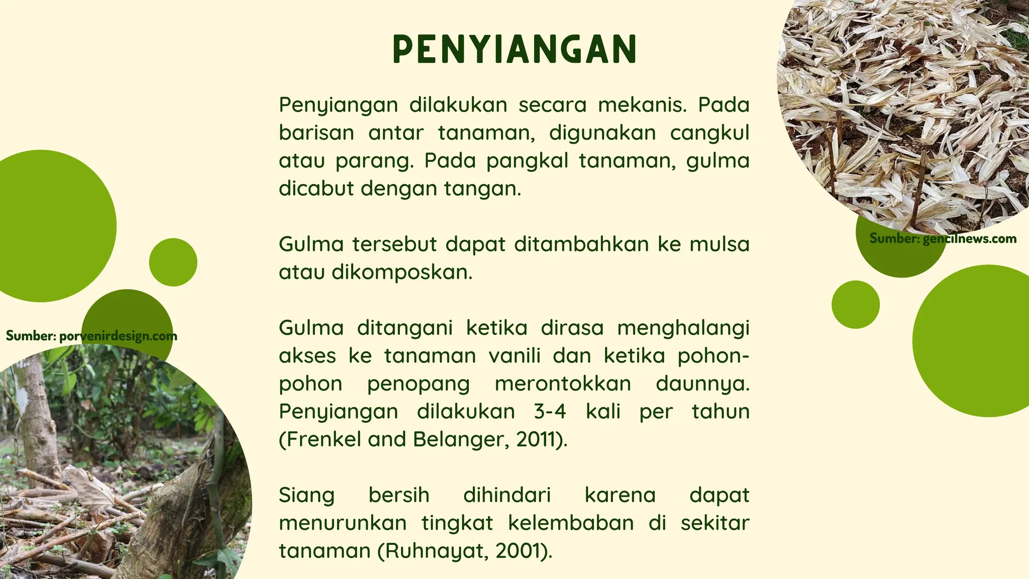 How To Budidaya Tanaman Vanili dengan metode unggul | PDF