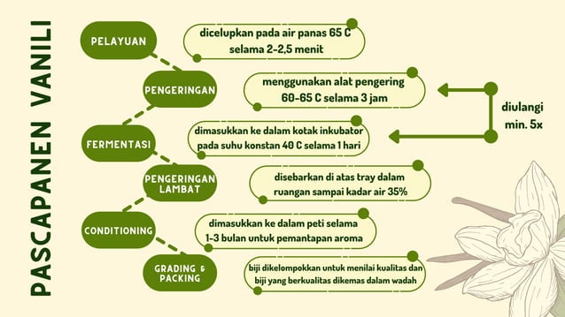 How To Budidaya Tanaman Vanili dengan metode unggul | PDF