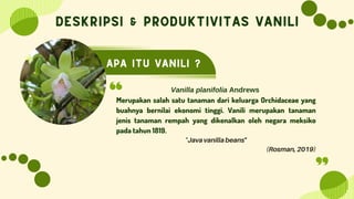 How To Budidaya Tanaman Vanili dengan metode unggul | PDF