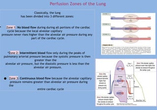4) Ventilation, perfusion, ratio (1).pptx