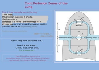4) Ventilation, perfusion, ratio (1).pptx