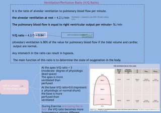 4) Ventilation, perfusion, ratio (1).pptx