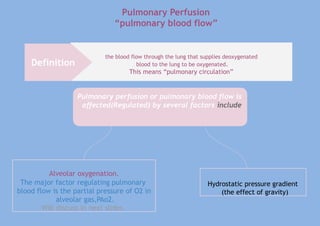 4) Ventilation, perfusion, ratio (1).pptx