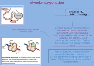 4) Ventilation, perfusion, ratio (1).pptx