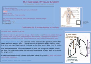 4) Ventilation, perfusion, ratio (1).pptx