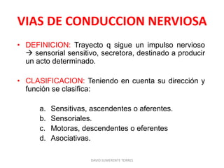 Vías de Conducción Nerviosa | PPTX