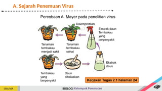 4 Virus .pptx