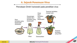 4 Virus .pptx