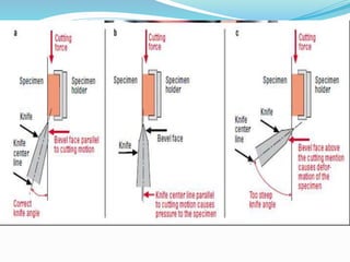 Knife Clearance Angle In Microtomy, 48% OFF