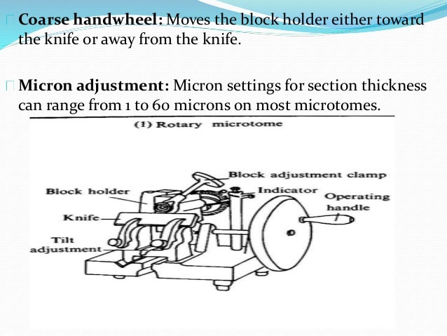 Microtomes, Section Cutting and Sharpening of razor