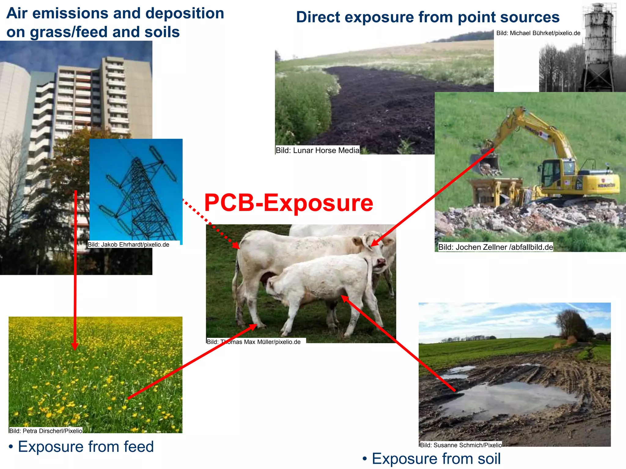 The impact of soil pollution on food production and safety | PPTX