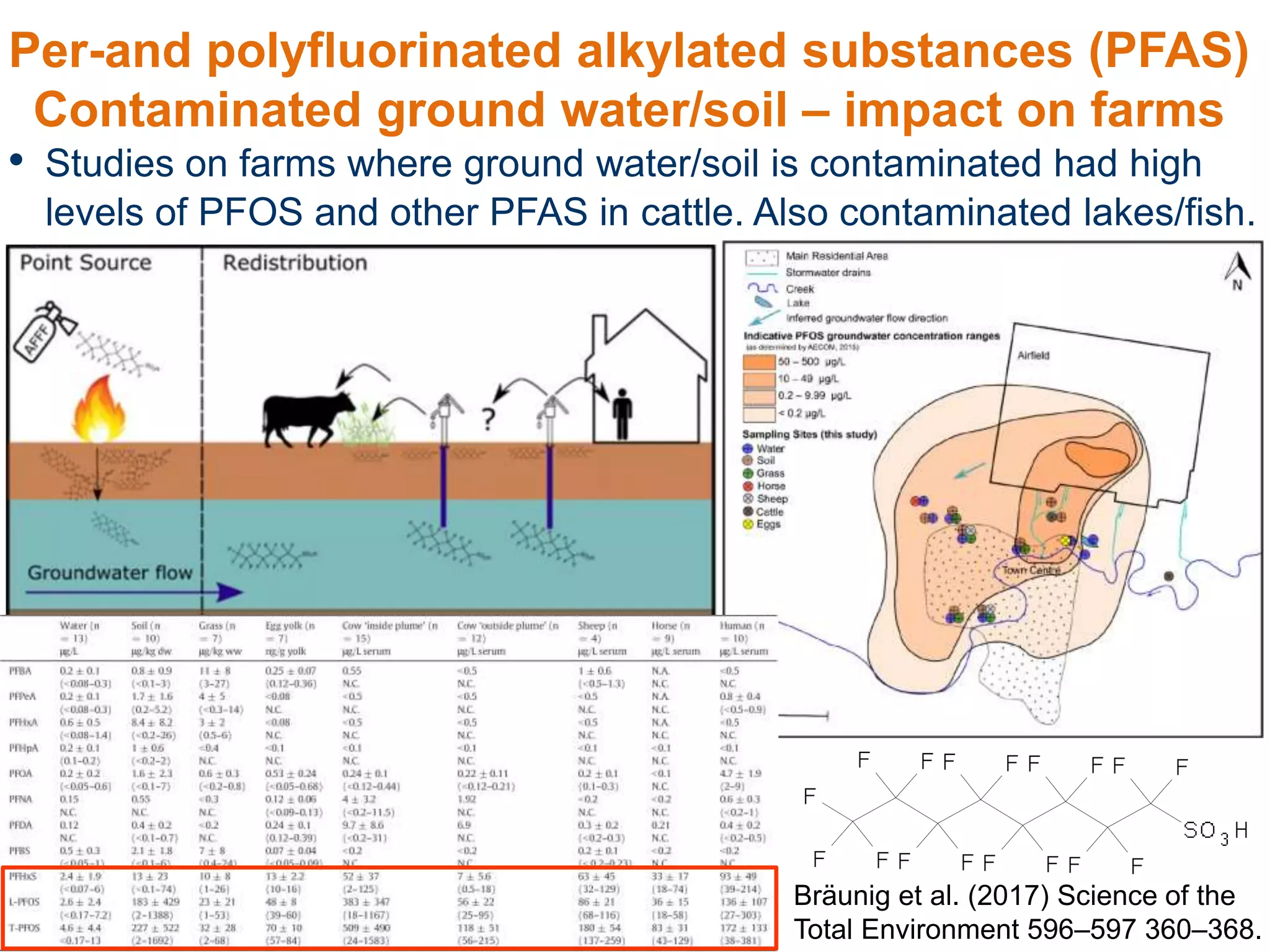 The impact of soil pollution on food production and safety | PPTX
