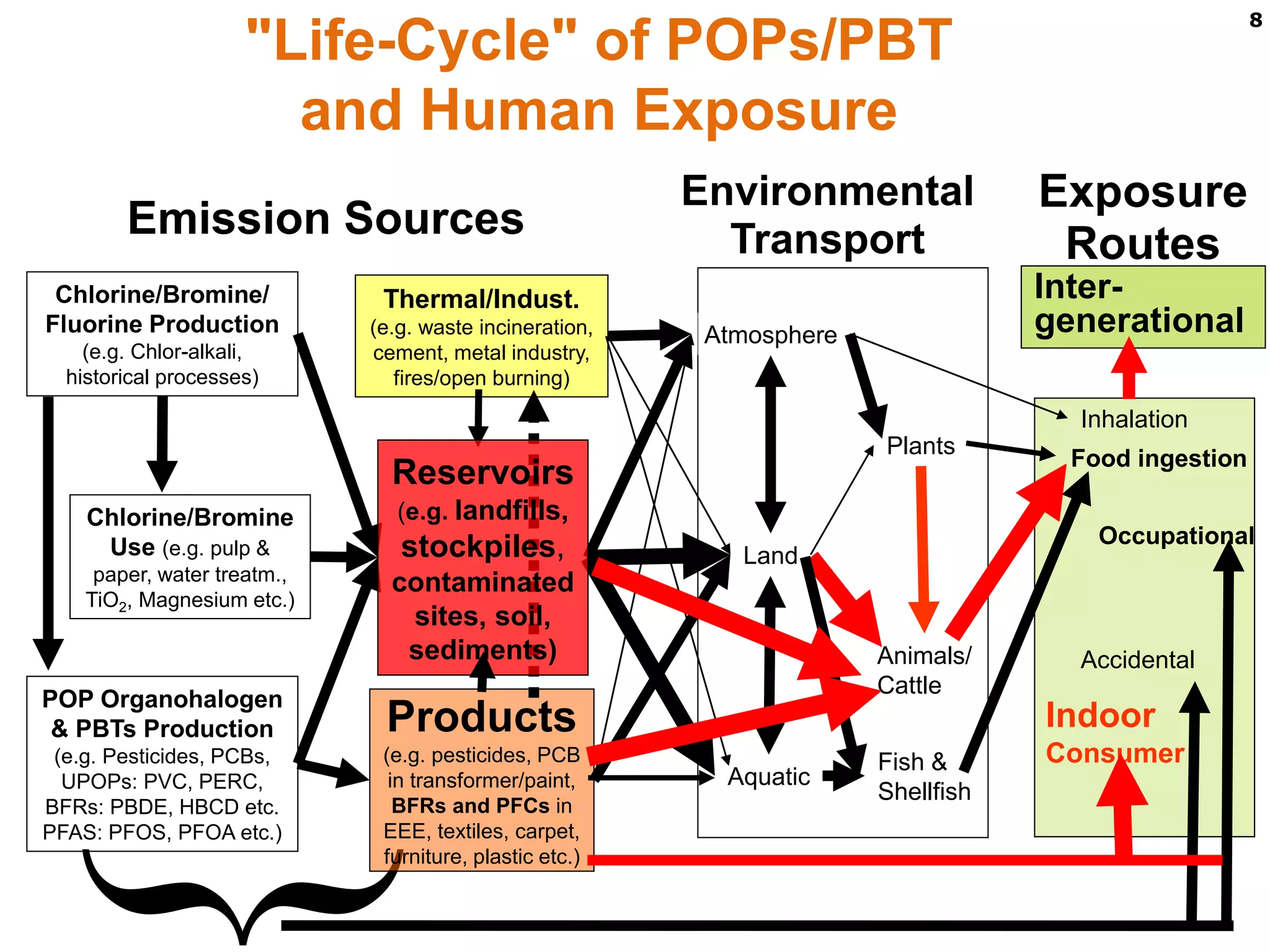 The impact of soil pollution on food production and safety | PPTX