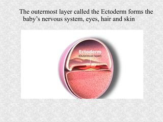 4 Weeks Pregnant: What to Expect | Pregnancy Week By Week | ODP