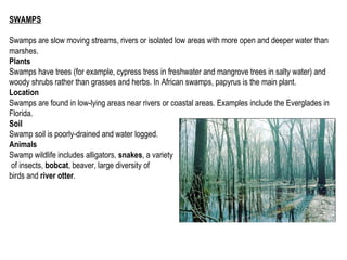 wetland | PPT