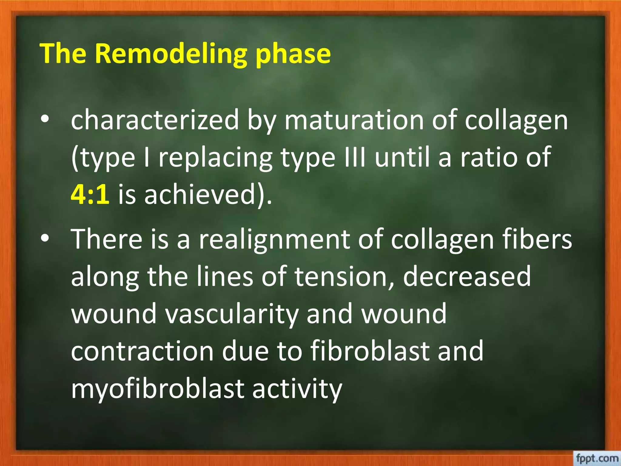 4 wound healing dr. haydar muneer salih | PPTX