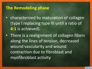 4 wound healing dr. haydar muneer salih | PPTX