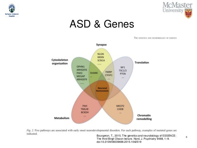 Asd research