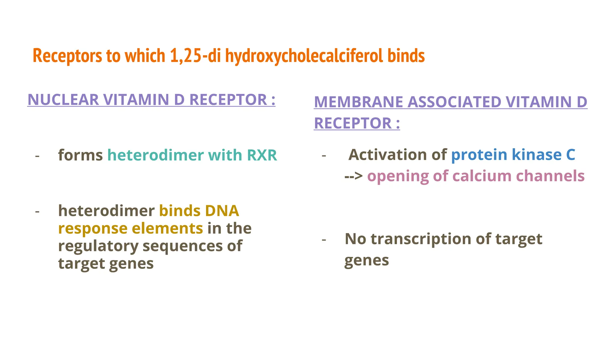 Vitamin D - sources, receptors, functions, deficiency, toxicity | PPTX