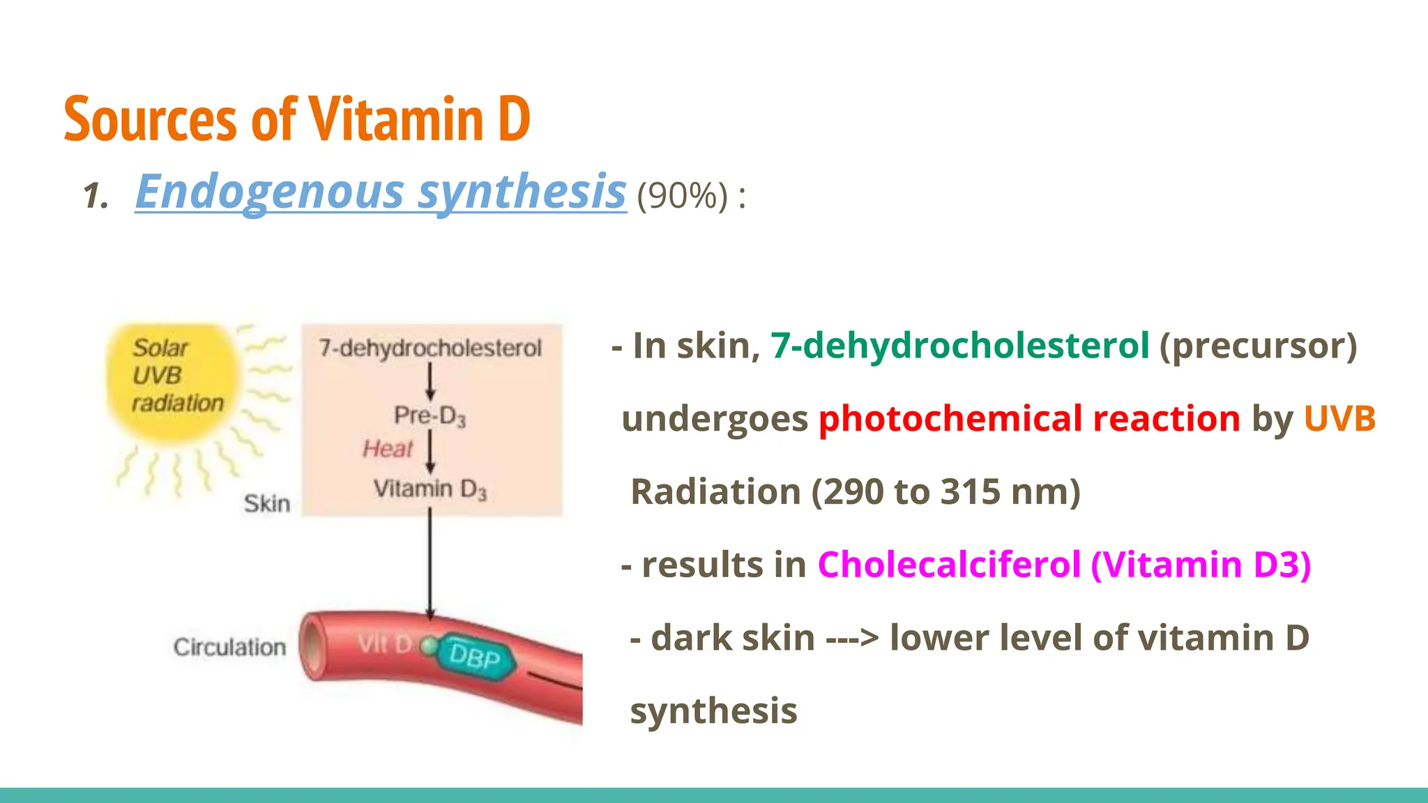 Vitamin D - sources, receptors, functions, deficiency, toxicity | PPTX
