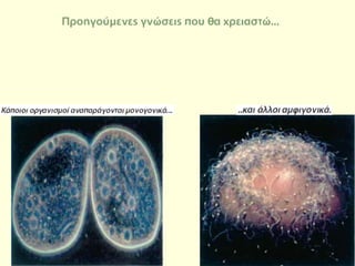 5.1 το γενετικό υλικό οργανώνεται σε χρωμοσώματα | PPT