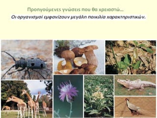 5.1 το γενετικό υλικό οργανώνεται σε χρωμοσώματα | PPT
