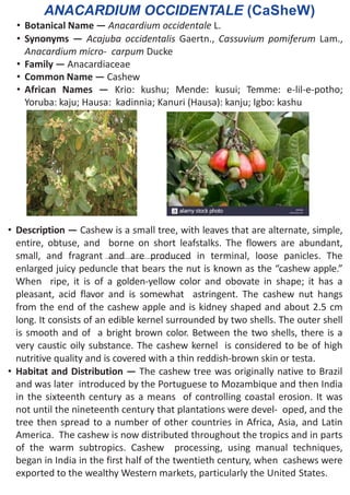 5 1-pharmacognostical profile of selected medicinal plants | PDF