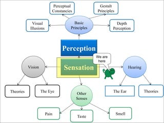 psychology5-1-principles_of_sensation.ppt