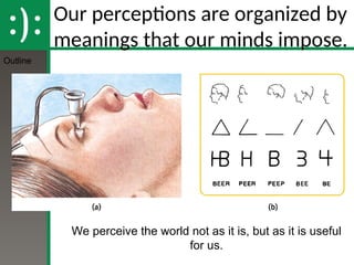 psychology5-1-principles_of_sensation.ppt